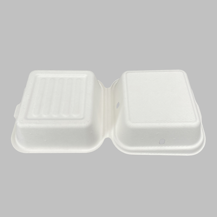 Sugarcane bagasse bowl, container and box - Directecogreen