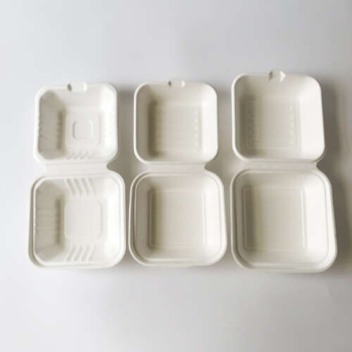 Sugarcane bagasse bowl, container and box - Directecogreen