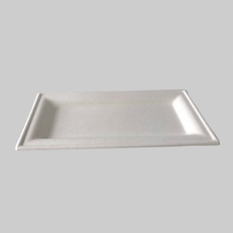 Bagasse plates and trays - Directecogreen