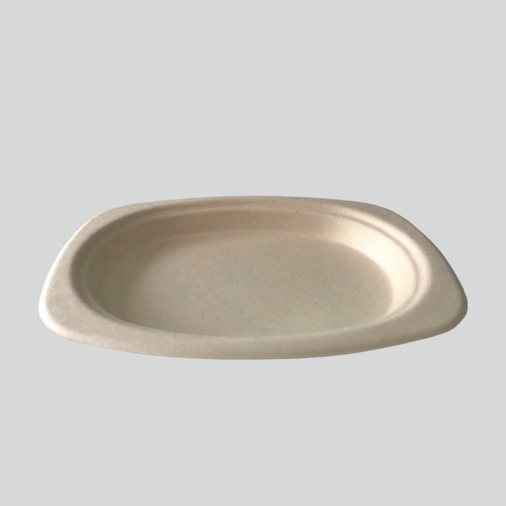 Bagasse plates and trays - Directecogreen