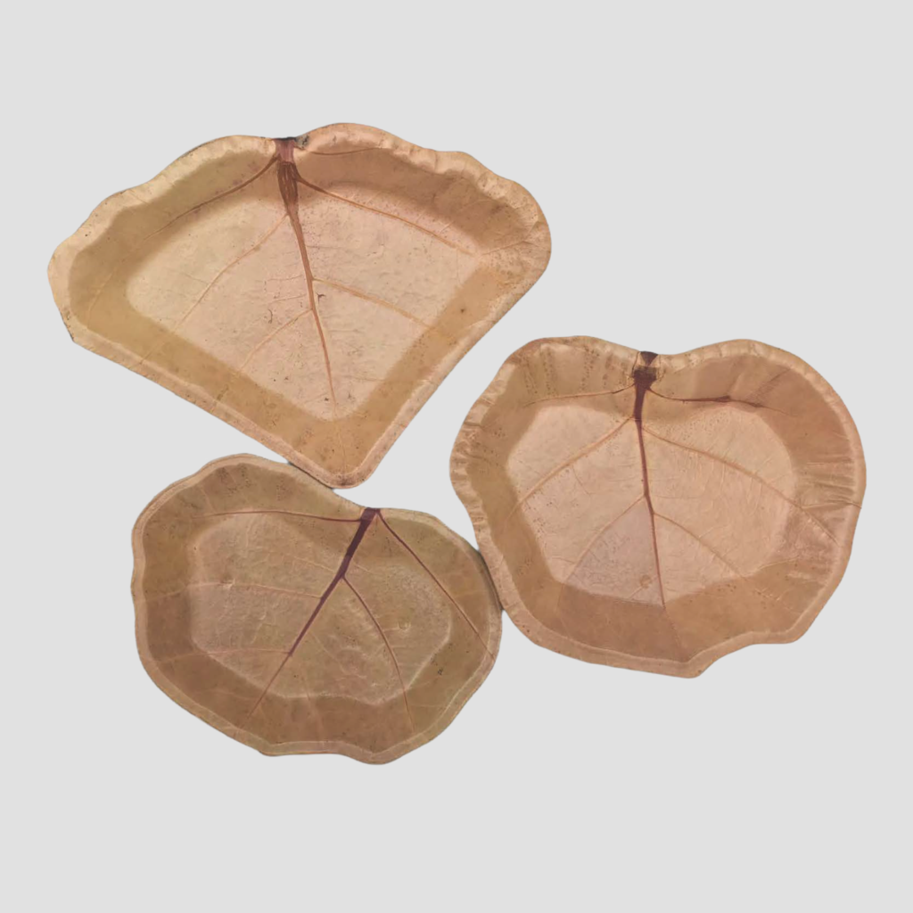 Palm/grape leaf plates and trays - Directecogreen