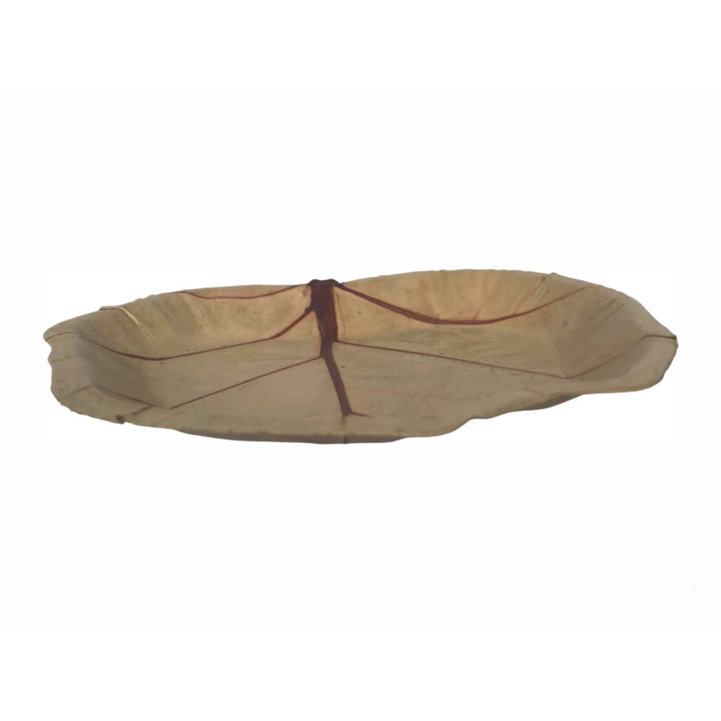 Palm/grape leaf plates and trays - Directecogreen